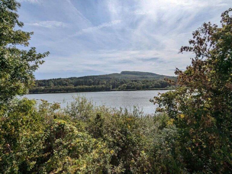 Wienfluss und Wienerwaldsee